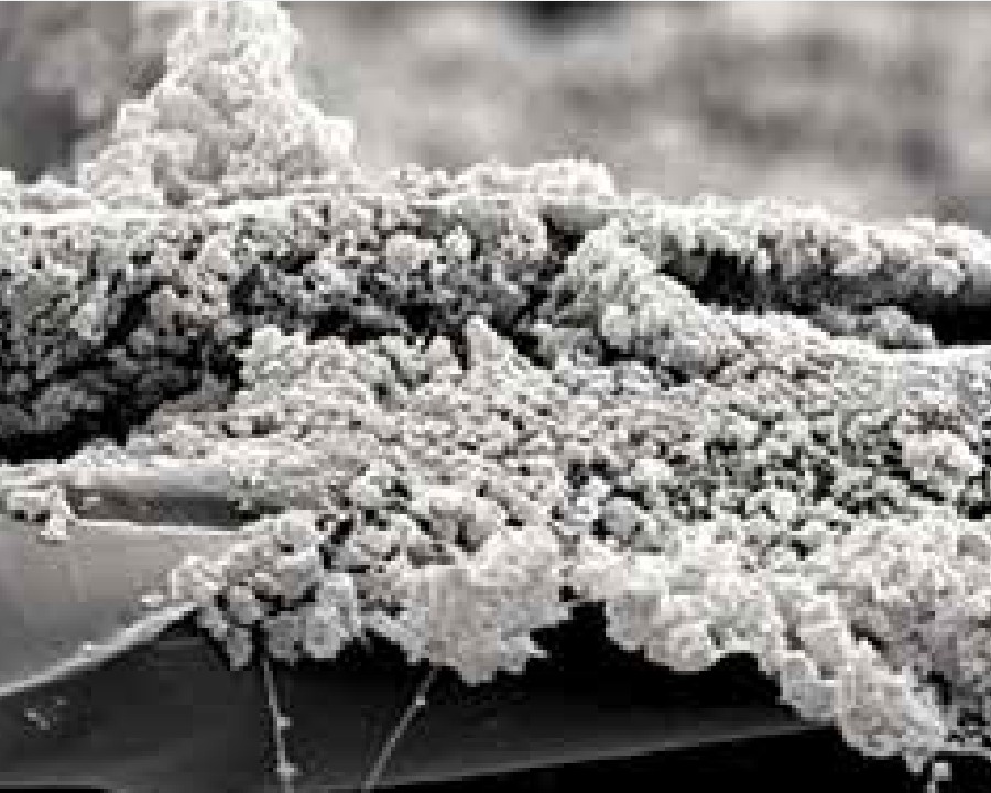 Advantages & Disadvantages of Pre-Coating Filters | Donaldson ...