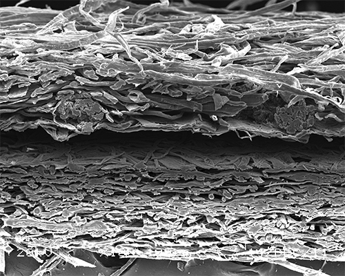 How to Use Water Absorbing Filters | Donaldson Engine & Vehicle