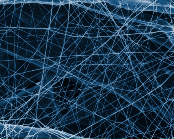 Air Intake Filter Systems | Donaldson Engine OEM Filtration